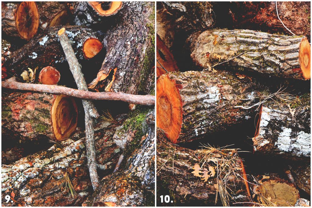 10 Timber Backgrounds ~ Textures.World