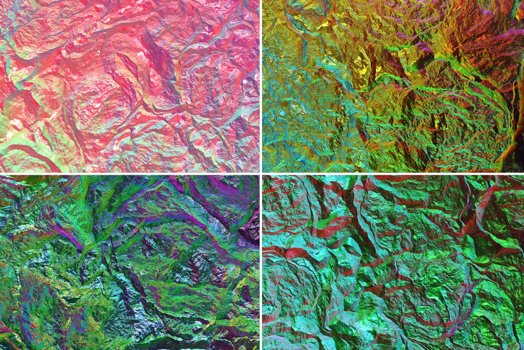 20 Chameleon Rock Texture Backgrounds ~ Textures.World