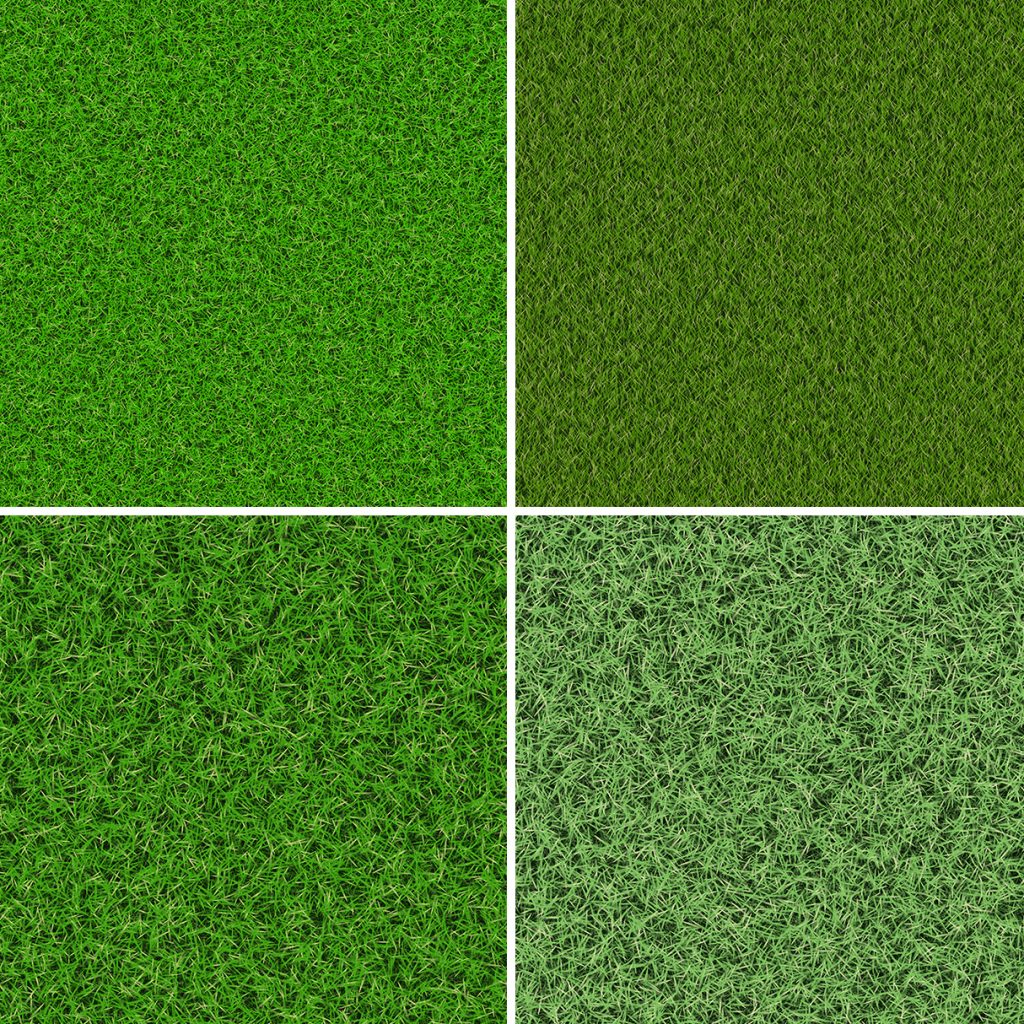 20 Grass Background Textures ~ Textures.World