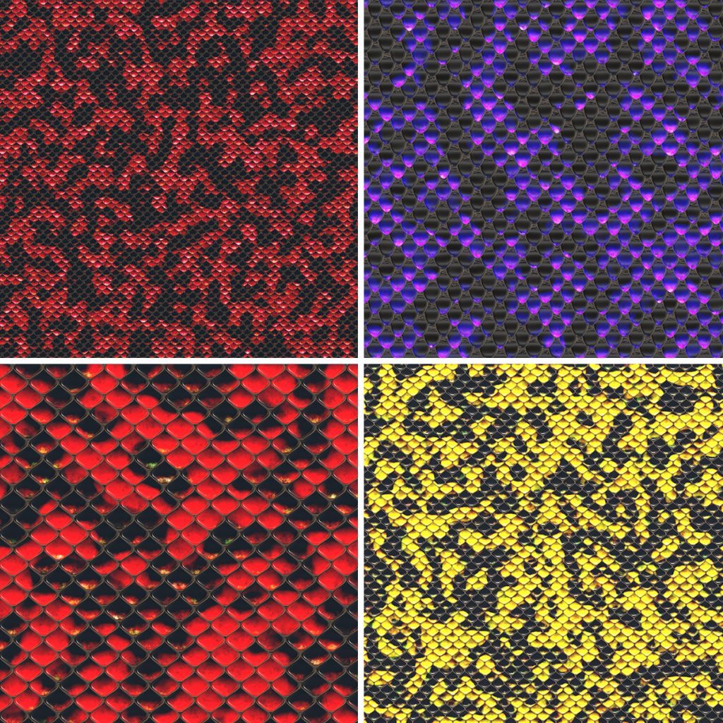 20 Snake Leather Background Textures ~ Textures.World